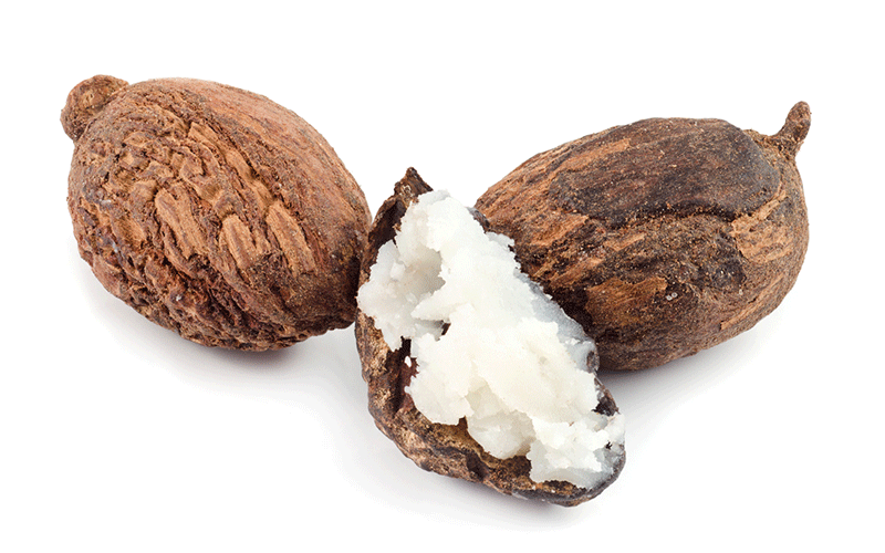 Why We Love Shea Butter: Hope's Relief Natural Skincare Blog | Hope's ...